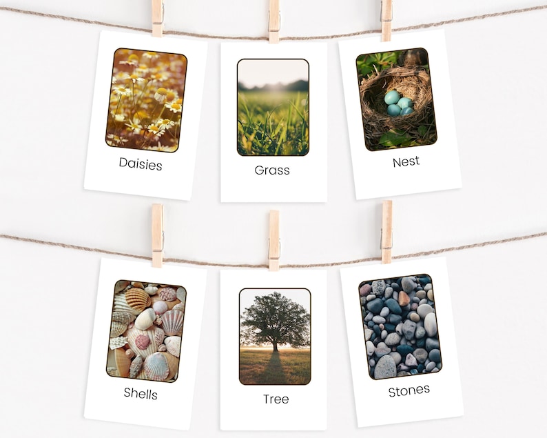 Nature Flash Cards, Reggio Inspired Vocabulary (printable) - Etsy UK