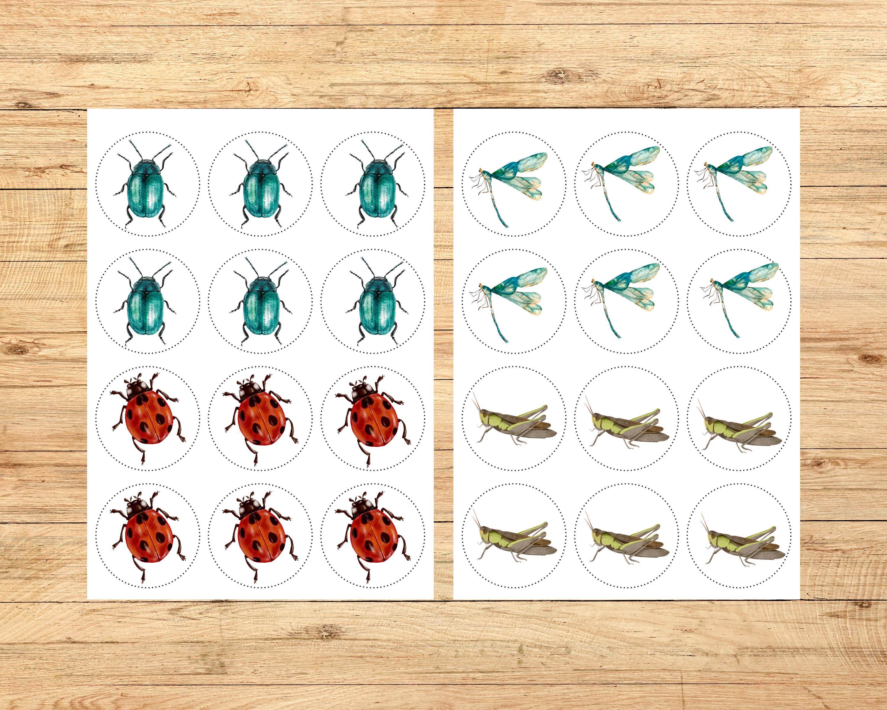 Insects Math Activities, Insects Bugs Games, Counting, Sorting, Adding ...