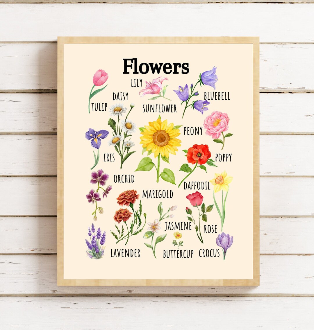 Vintage Flowers Kids Poster, Nature Learning Print (digital Download ...
