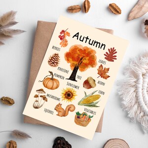 18 Autumn Flashcards, Fall Poster, INSTANT DOWNLOAD, Nature Cards ...