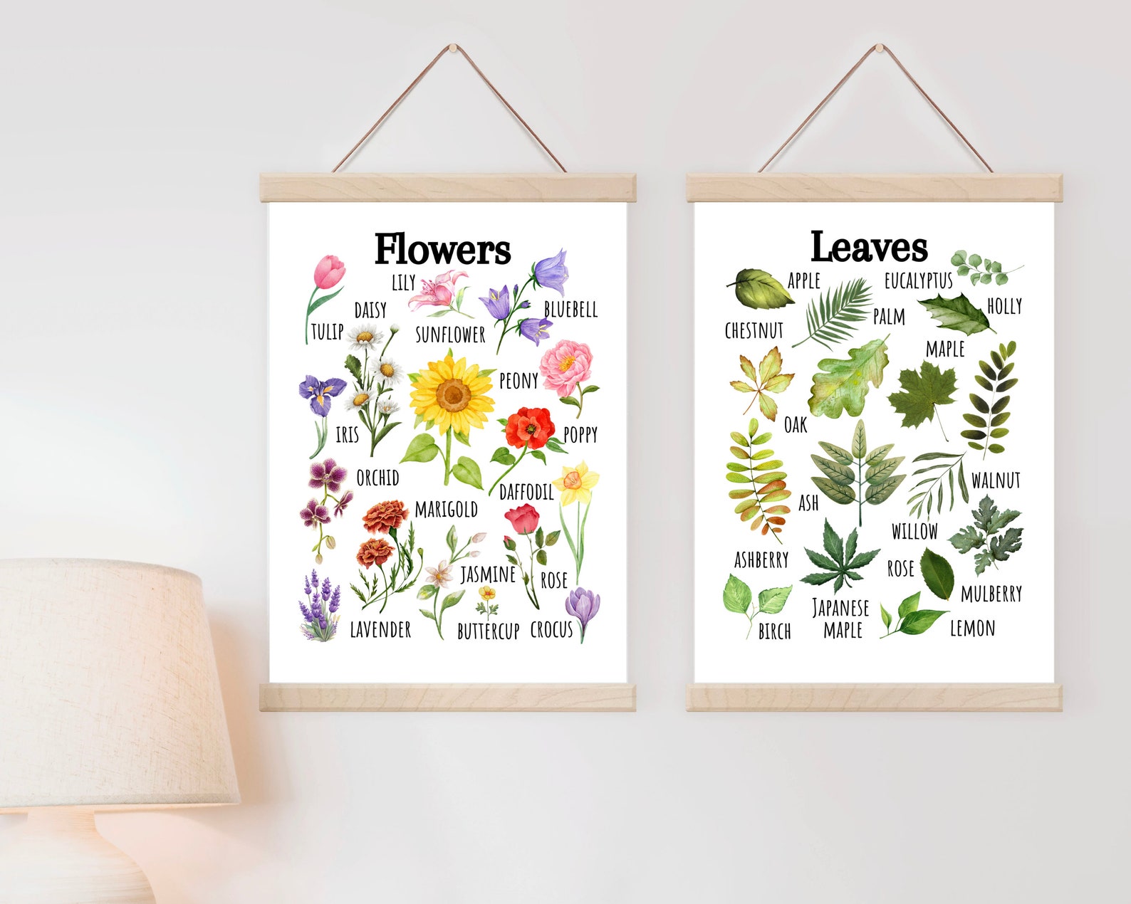 Nature Educational Posters, Printable Wall Art, Classroom Learning ...