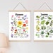Nature Educational Posters, Printable Wall Art, Classroom Learning ...
