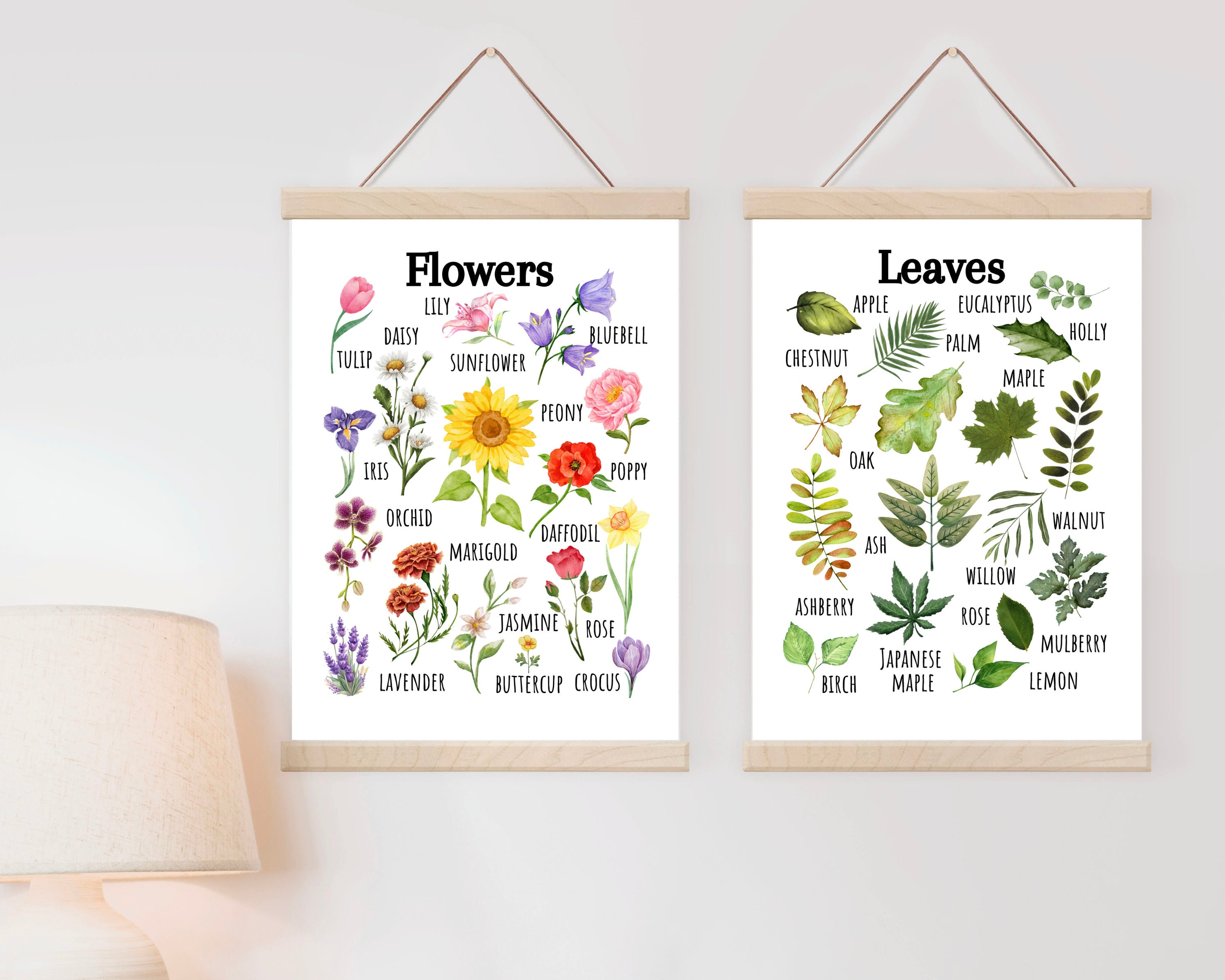Nature Educational Posters, Printable Wall Art, Classroom Learning ...