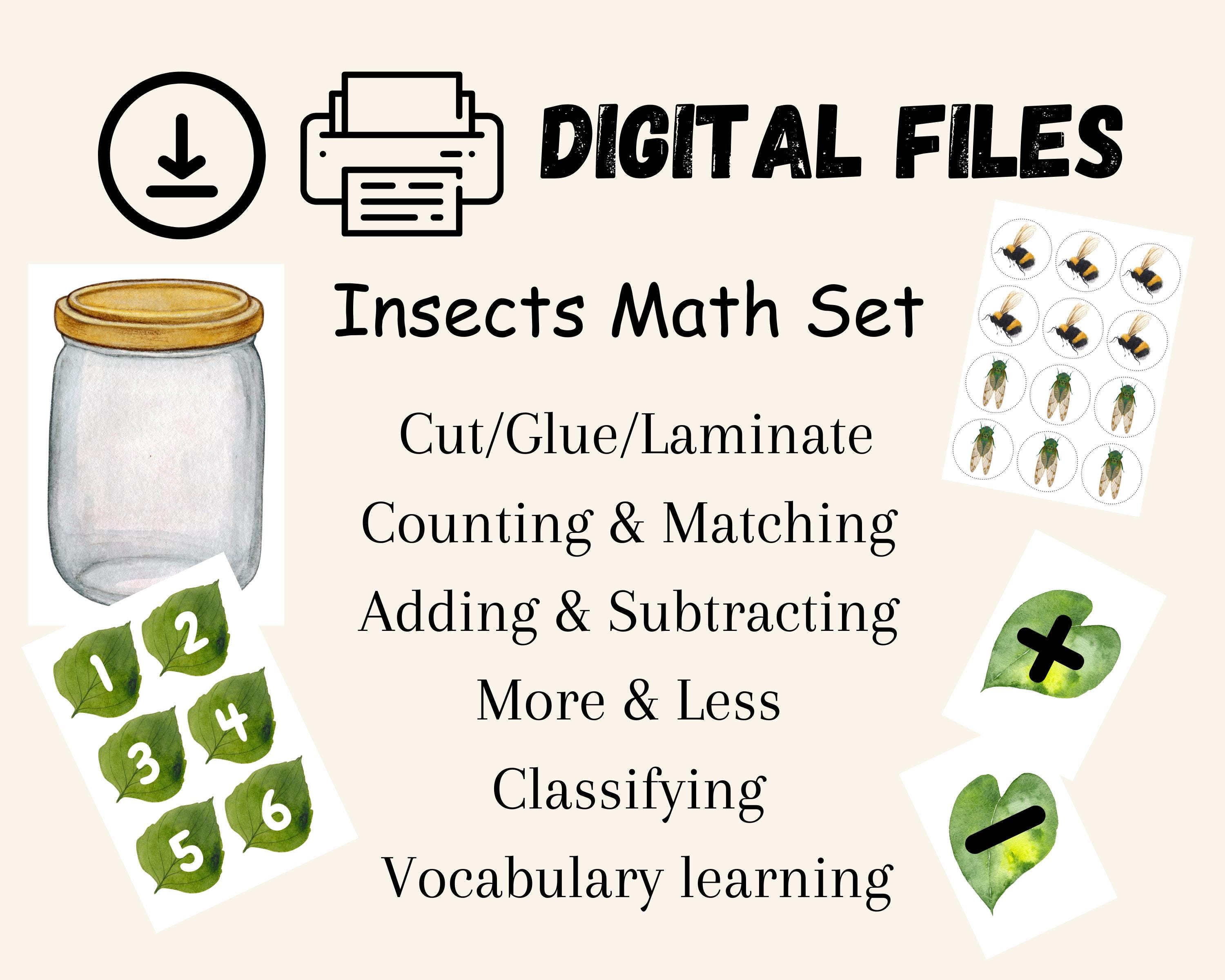 Insects Math Activities, Insects Bugs Games, Counting, Sorting, Adding ...