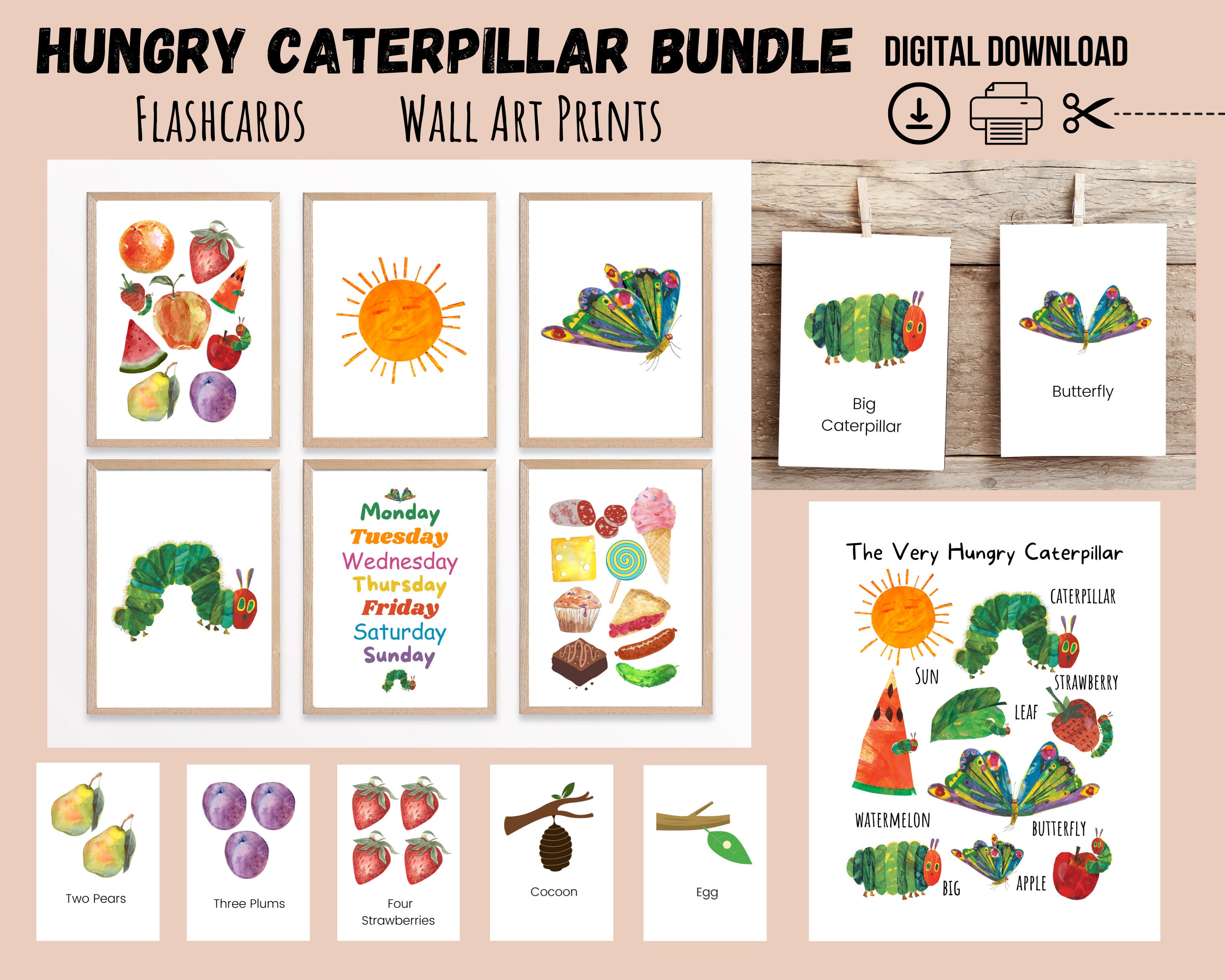 The Very Hungry Caterpillar Flashcards