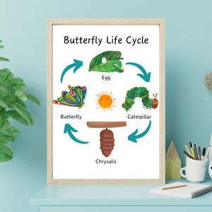 The Very Hungry Caterpillar Life Cycle Poster, Butterfly Lifecycle ...