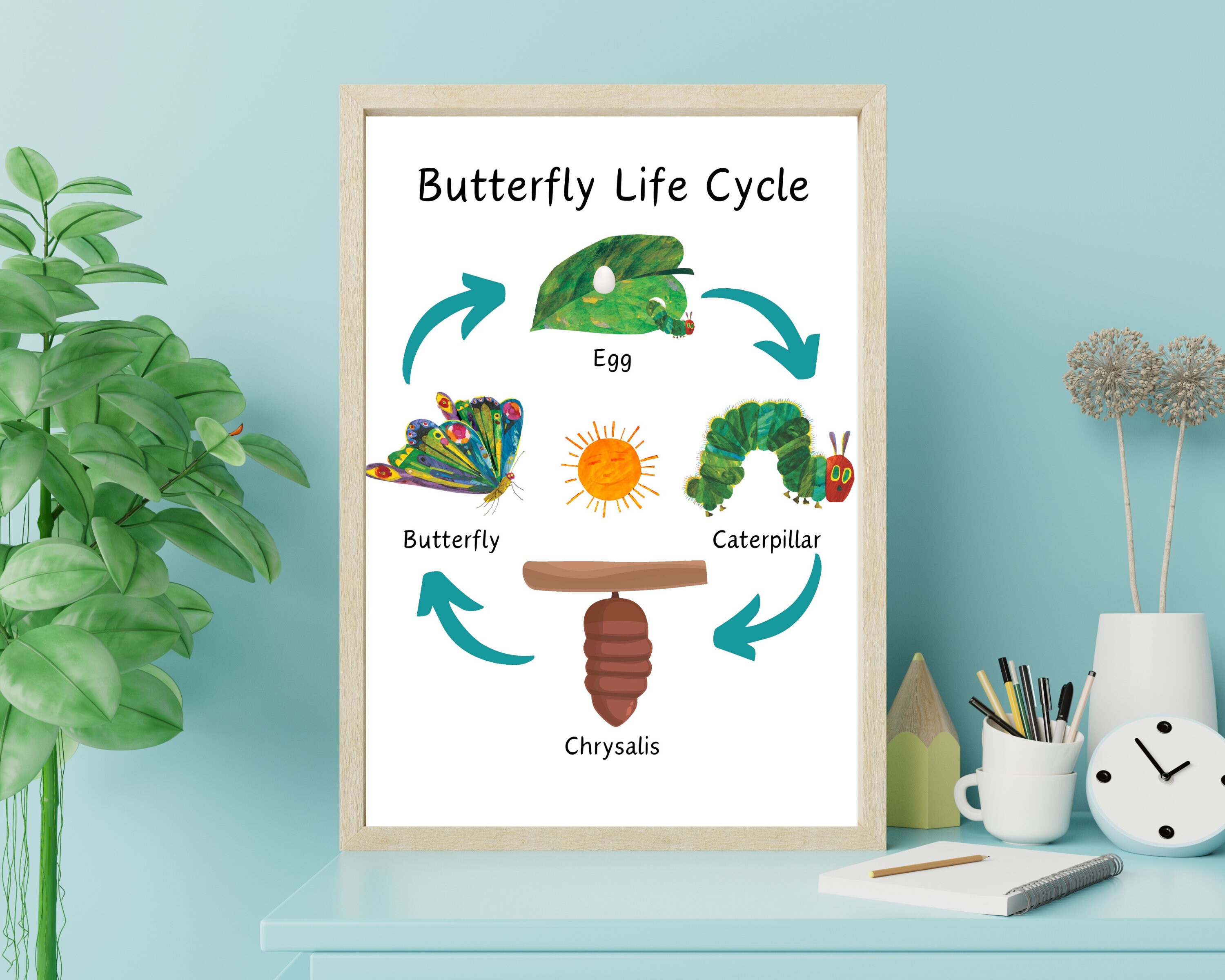 The Very Hungry Caterpillar Life Cycle Poster, Butterfly Lifecycle ...