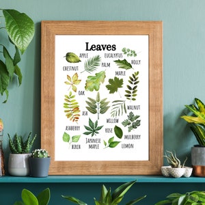 Nature Educational Posters, Printable Wall Art, Classroom Learning ...