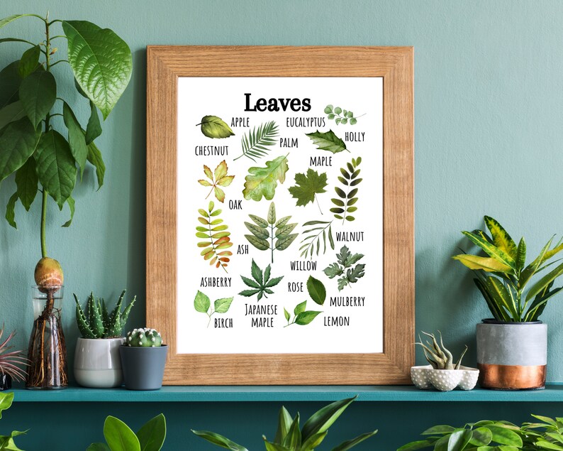 Nature Educational Posters, Printable Wall Art, Classroom Learning ...