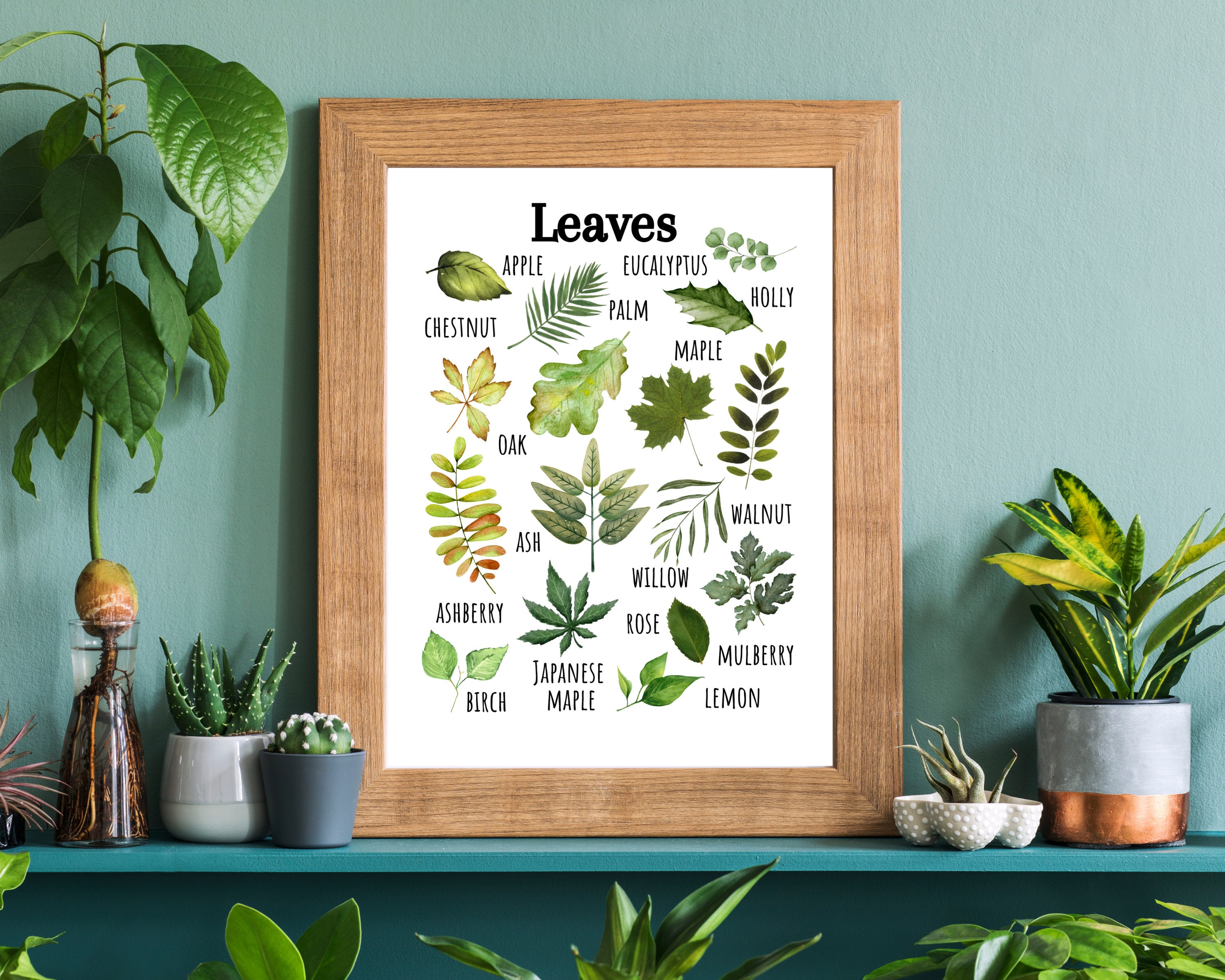 Nature Educational Posters, Printable Wall Art, Classroom Learning ...