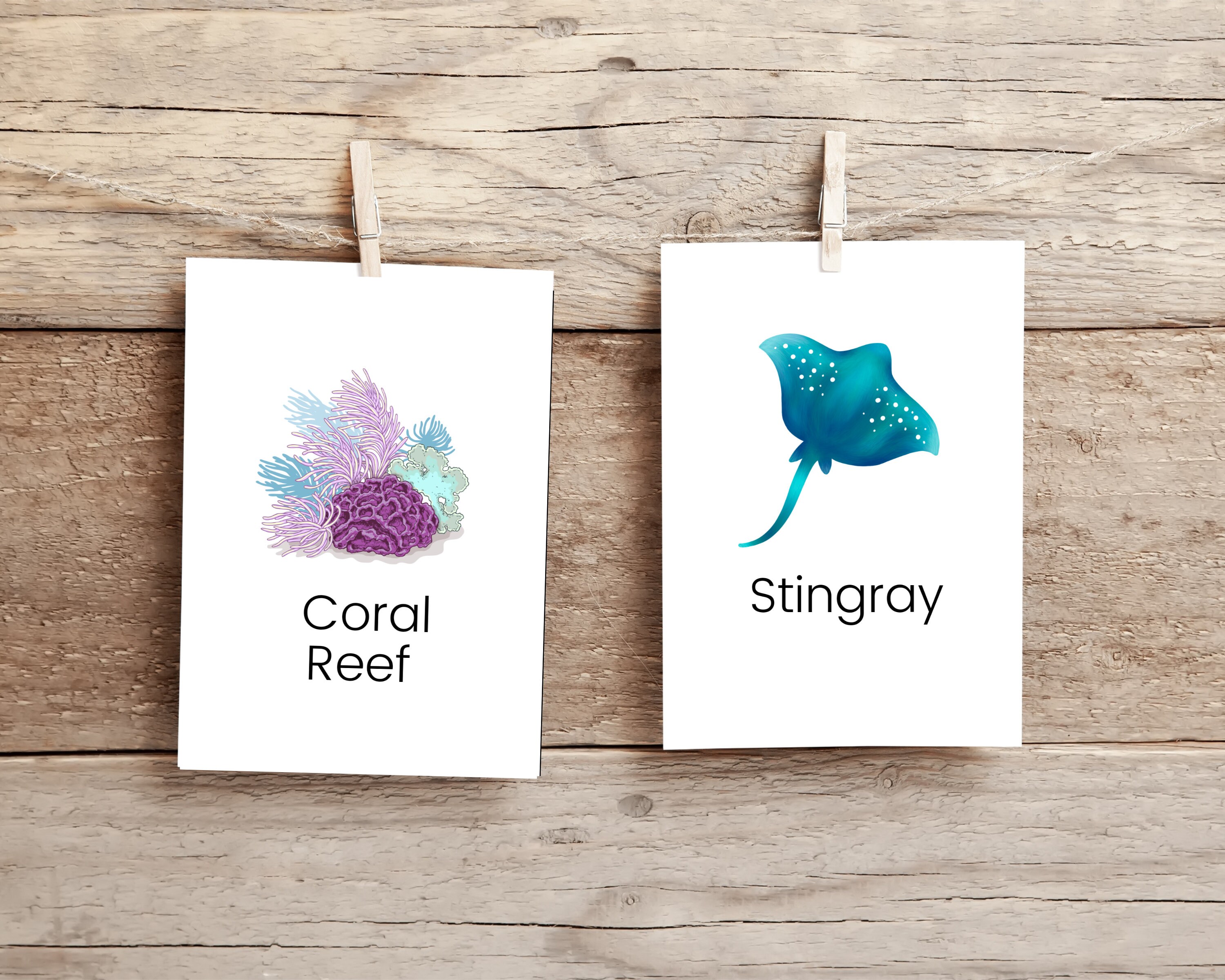 20 Ocean Animals Flashcards Sea Animals Flashcards INSTANT - Etsy