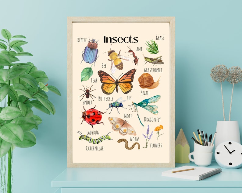 Insects Kids Poster Insects Printable Wall Art Nature - Etsy