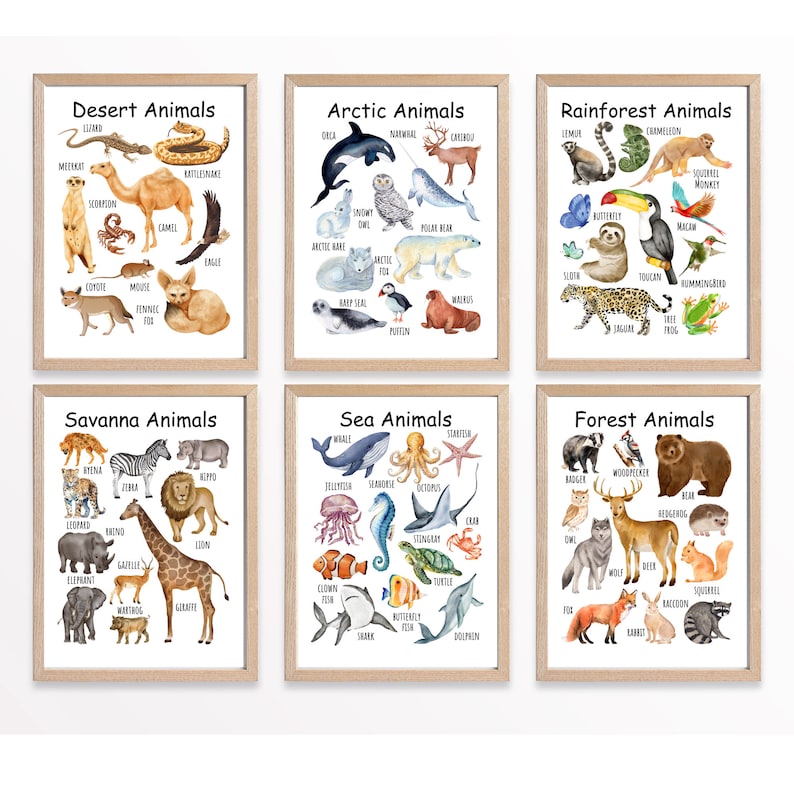 Animal Educational Posters, Printable Wall Art, Classroom Learning ...