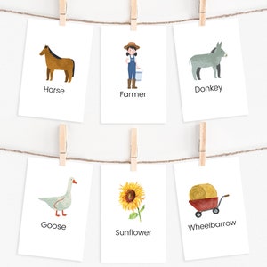 26 Farm Animals Flashcards, Farm Life, INSTANT DOWNLOAD, Nature Cards ...