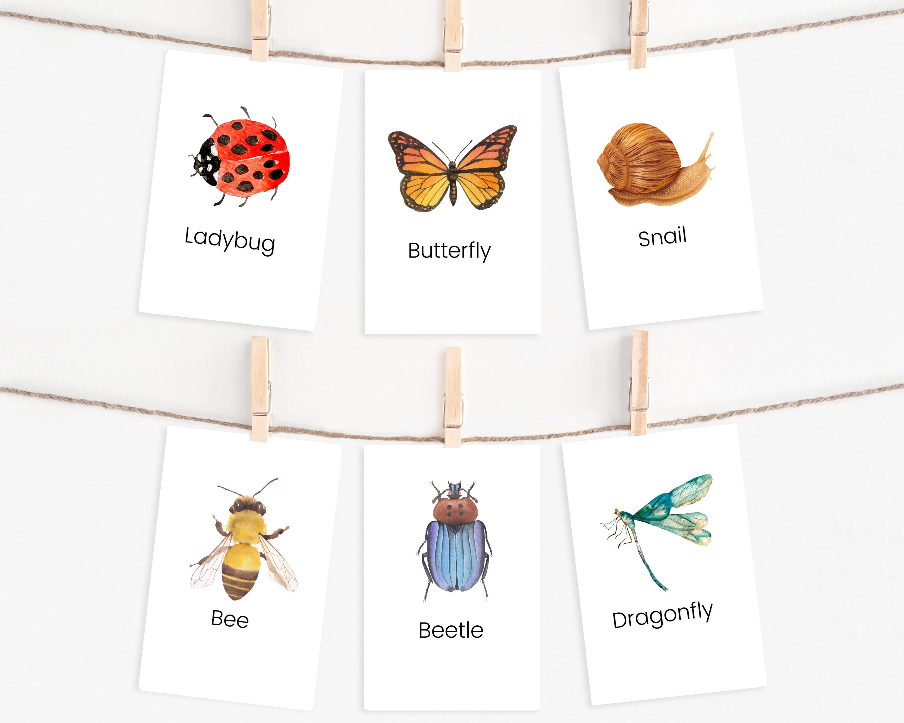 24 Insects Flashcards, Montessori Flashcards, INSTANT DOWNLOAD ...