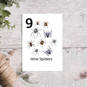 Halloween Number Flashcards 1-10 Printable, Preschool Classroom ...