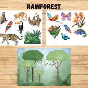 Animal Habitat Sorting Activity, Habitat Match, Animal Pretend Play ...