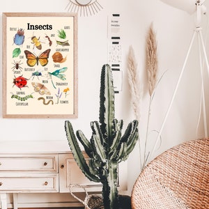 Insects Educational Poster, Flowers Poster, Printable Wall Art, Nature ...