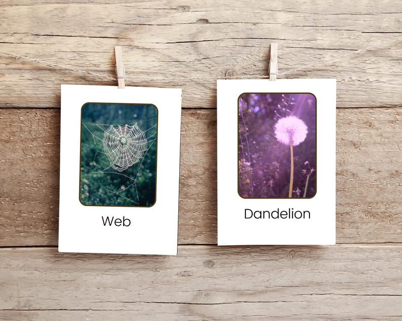 Nature Flash Cards, Reggio Inspired Vocabulary (printable) - Etsy UK