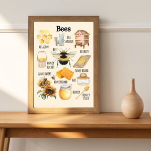 Bees Flashcards, Bee Educational Poster, Montessori, Homeschool ...