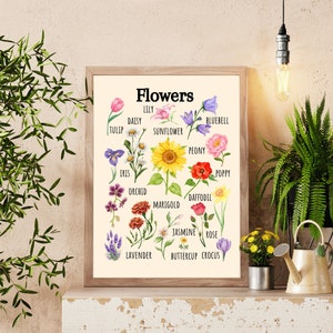 Nature Educational Posters, Printable Wall Art, Classroom Learning ...