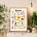 Nature Educational Posters, Printable Wall Art, Classroom Learning ...