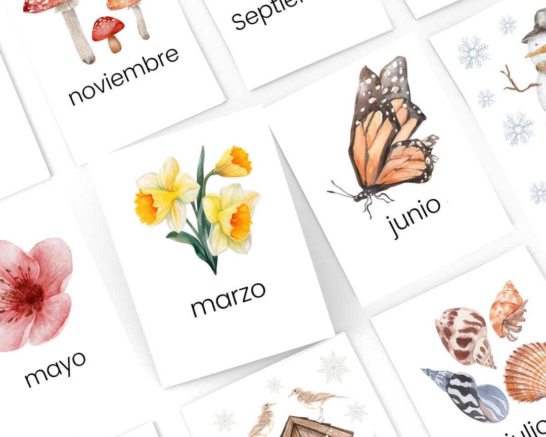 Spanish Months of the Year Cards, Spanish Flashcards, Homeschool ...