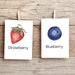 24 Fruit Flashcards, Montessori Flashcards, Food Cards, INSTANT ...