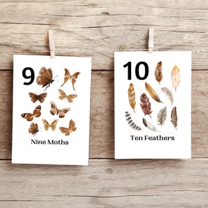 Autumn Number Flashcards 1-10 Printable, Fall Homeschool (PDF) - Etsy
