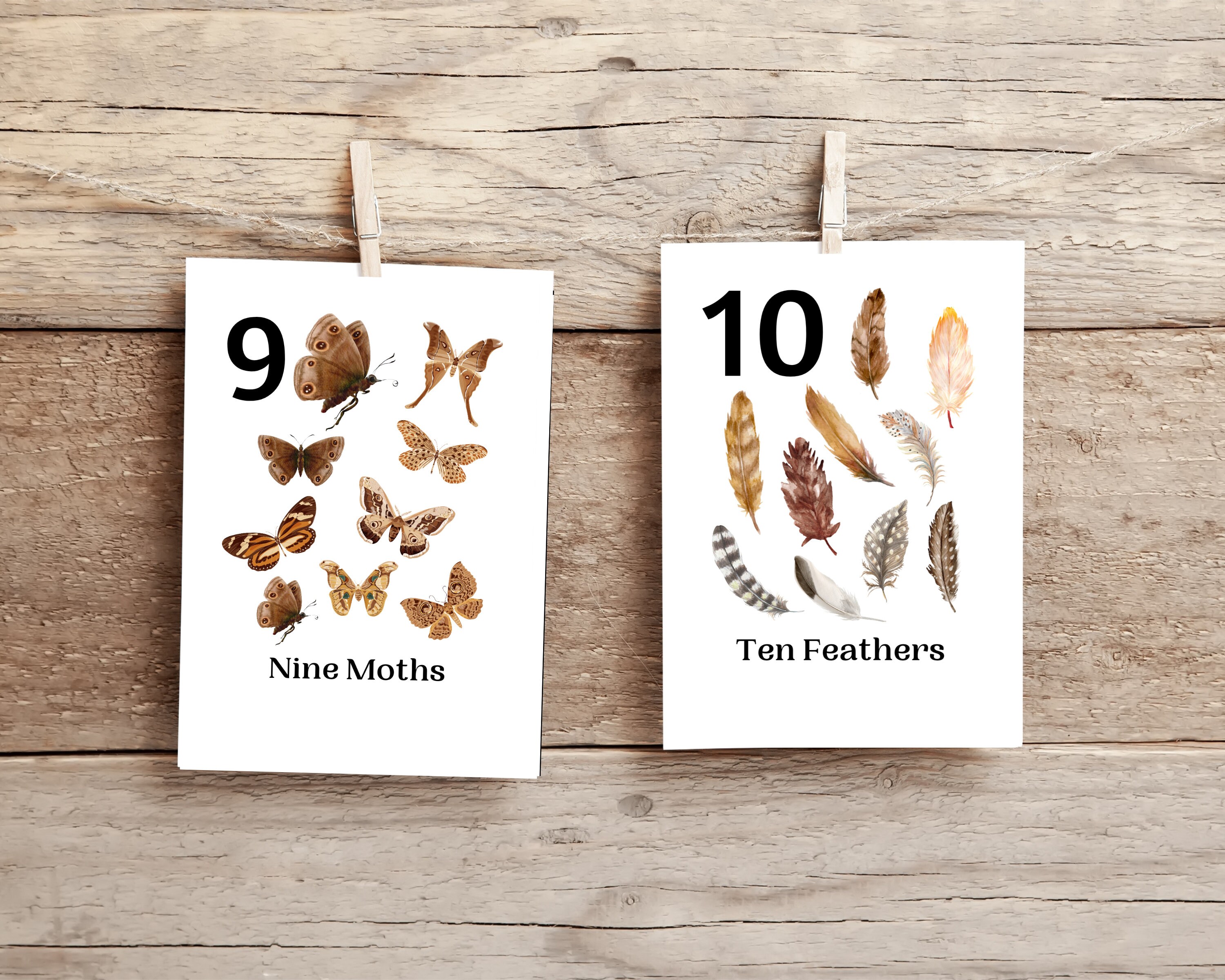 Autumn Number Flashcards 1-10 Printable Nature Number Cards - Etsy