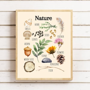 Nature Educational Posters, Printable Wall Art, Classroom Learning ...