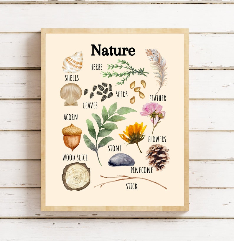 Nature Educational Posters, Printable Wall Art, Classroom Learning ...