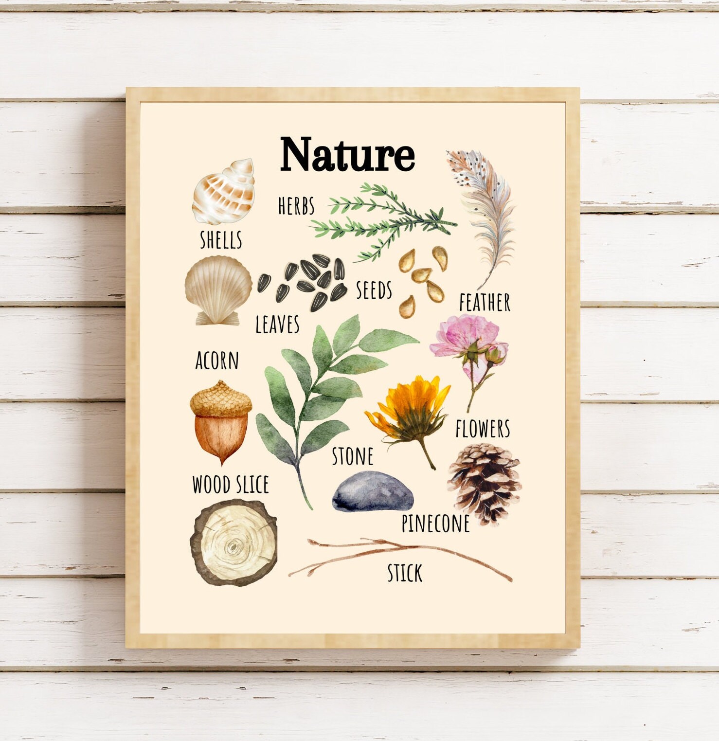 Nature Educational Posters, Printable Wall Art, Classroom Learning ...