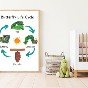 The Very Hungry Caterpillar Life Cycle Poster, Butterfly Lifecycle ...
