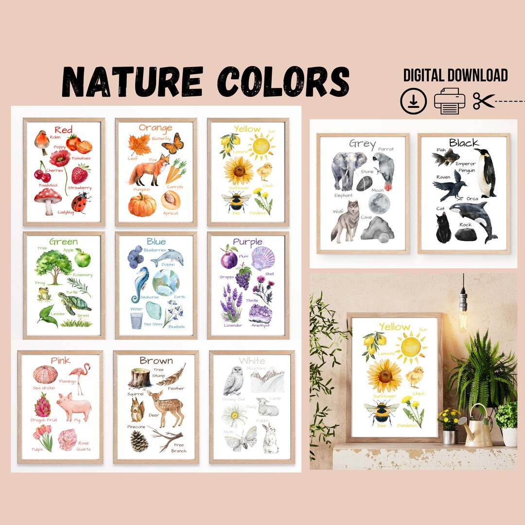 Nature Colors Posters, Printable Wall Art, Classroom Learning Posters ...