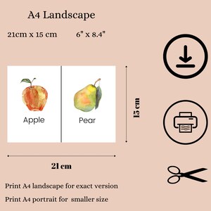 24 Fruit Flashcards, Montessori Flashcards, Food Cards, INSTANT ...