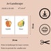 24 Fruit Flashcards, Montessori Flashcards, Food Cards, INSTANT ...