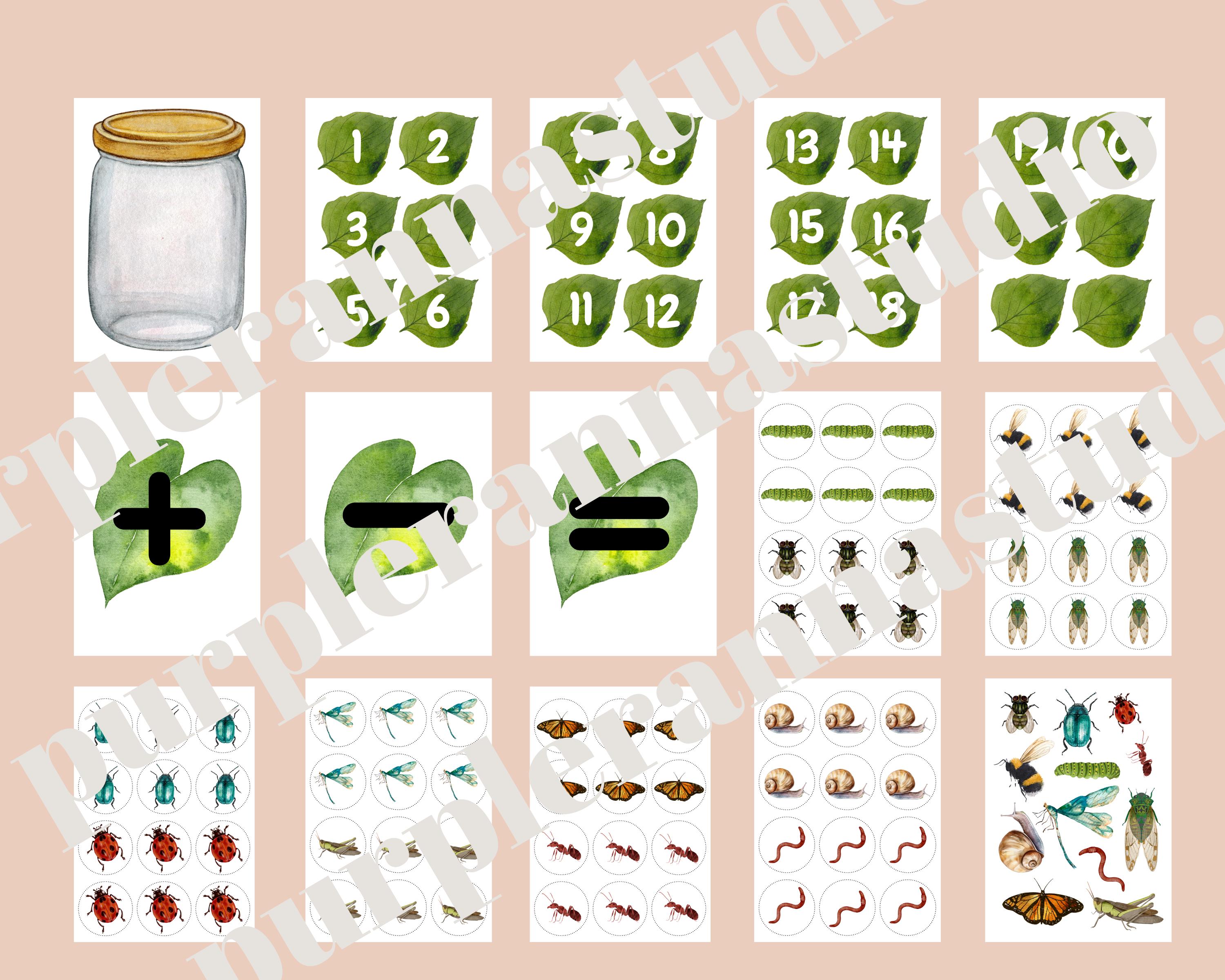 Insects Math Activities, Insects Bugs Games, Counting, Sorting, Adding ...