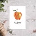 24 Fruit Flashcards, Montessori Flashcards, Food Cards, INSTANT ...