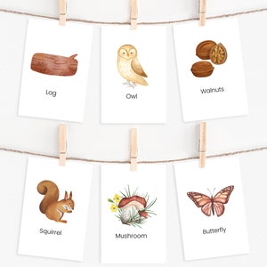 The Gruffalo Story Cards, 36 Gruffalo Flashcards, Homeschool Montessori ...