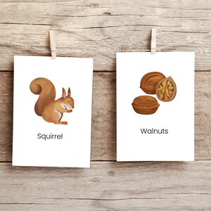 The Gruffalo Story Cards, 36 Gruffalo Flashcards, Homeschool Montessori ...