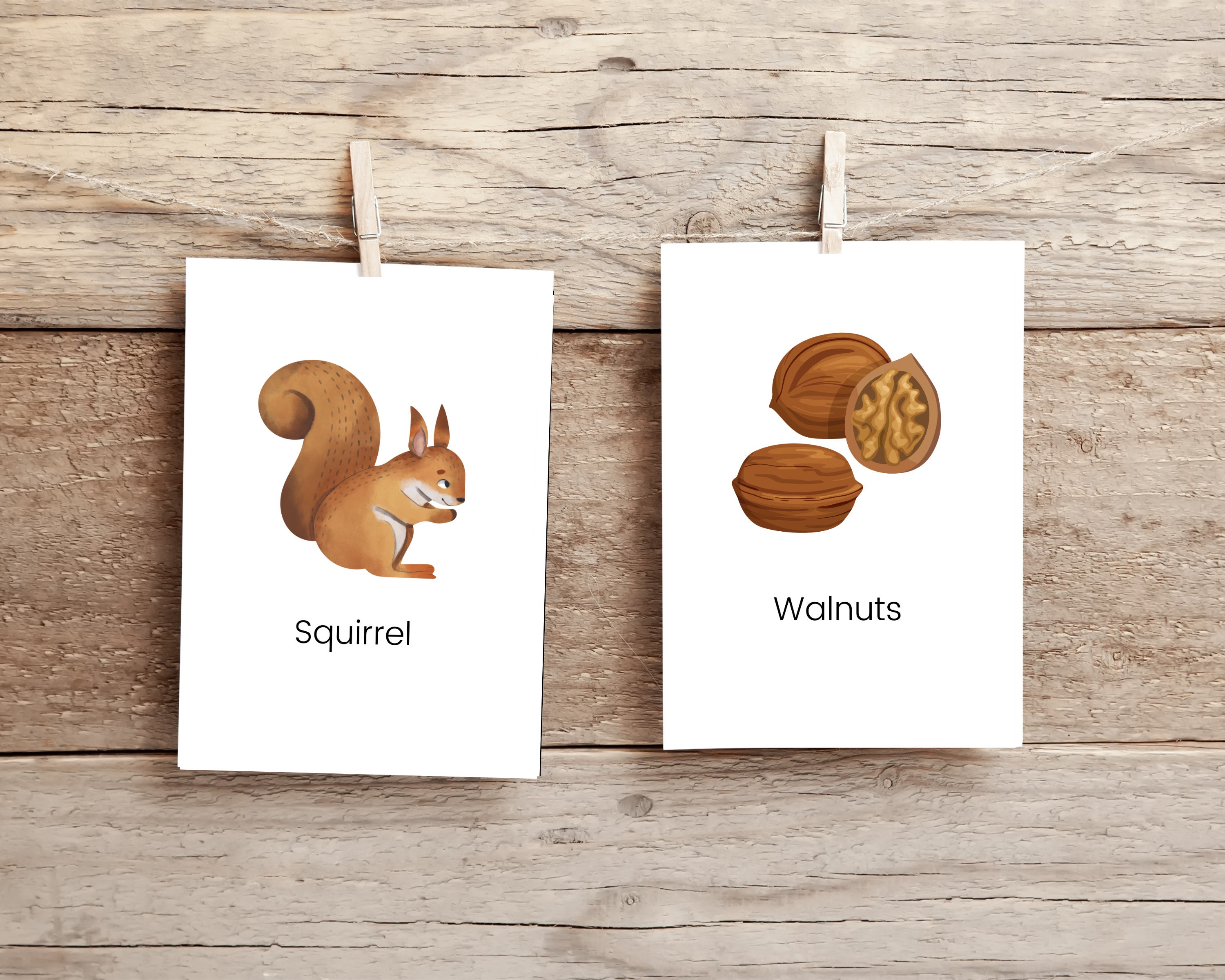 The Gruffalo Story Cards, 36 Gruffalo Flashcards, Homeschool Montessori ...