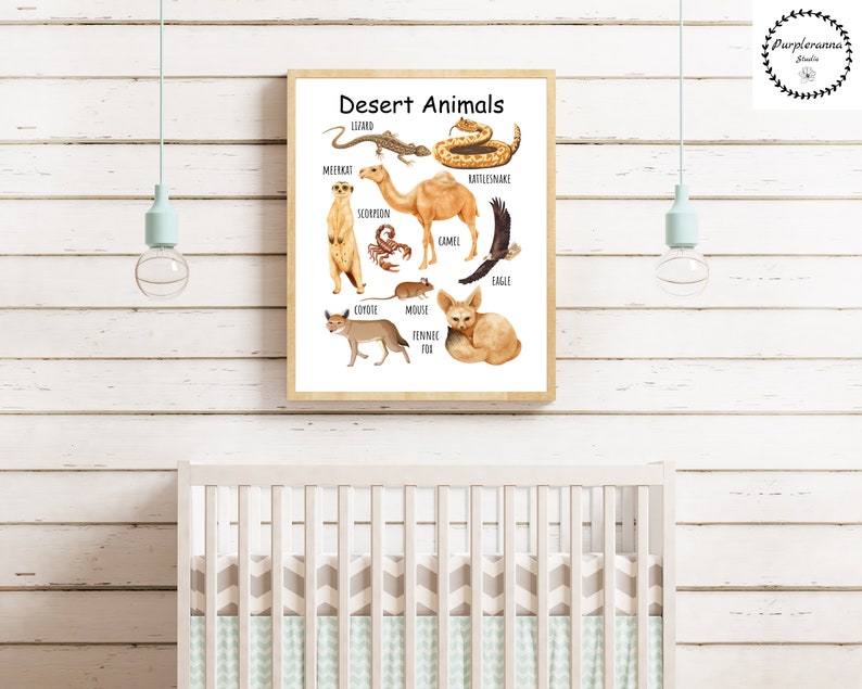 Animal Educational Posters, Printable Wall Art, Classroom Learning ...