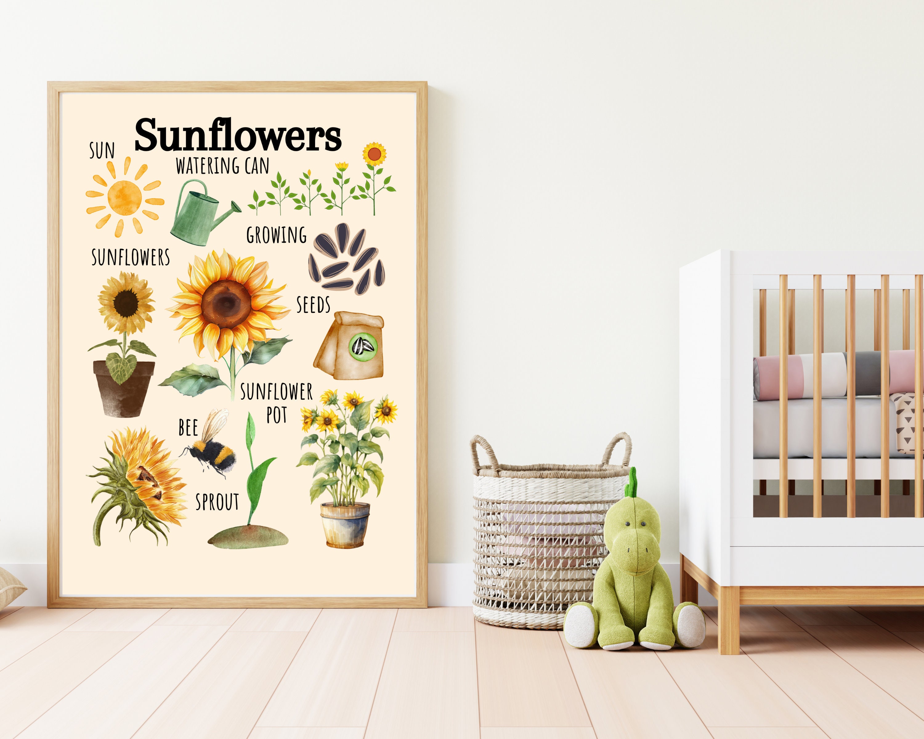 Sunflower Educational Poster, Sunflower Nature Study, Nature Learning ...