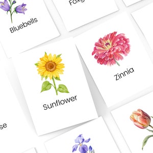 26 Flowers Flashcards, Montessori Flashcards, Montessori Pintables ...