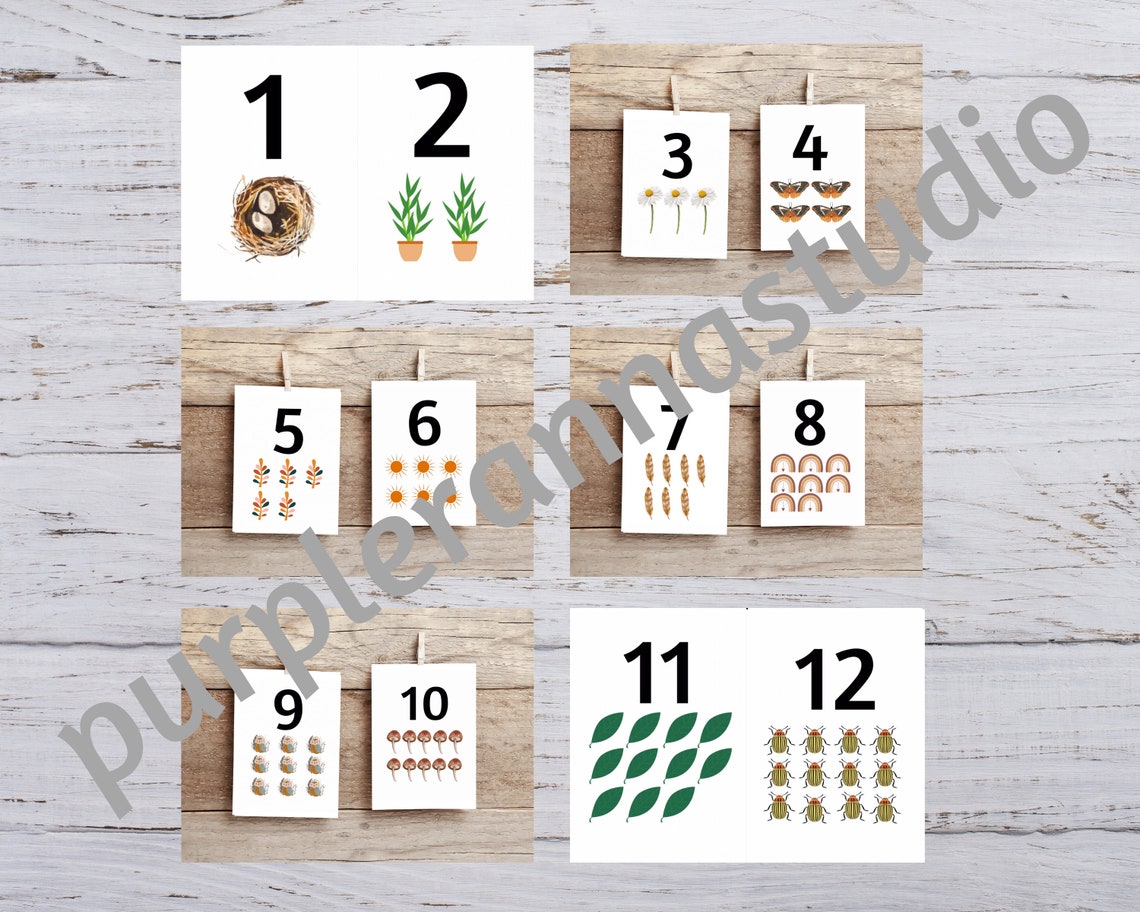 Classroom Decor Bundle, Flashcards Bundle, Preschool Bundle, Homeschool ...