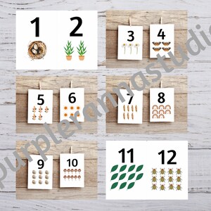 Classroom Decor Bundle, Flashcards Bundle, Preschool Bundle, Homeschool ...