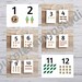 Classroom Decor Bundle, Flashcards Bundle, Preschool Bundle, Homeschool ...
