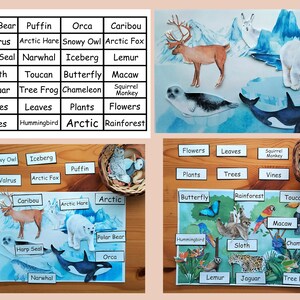 Animal Habitat Sorting Activity, Habitat Match, Animal Pretend Play ...