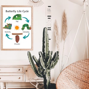 The Very Hungry Caterpillar Life Cycle Poster, Butterfly Lifecycle ...